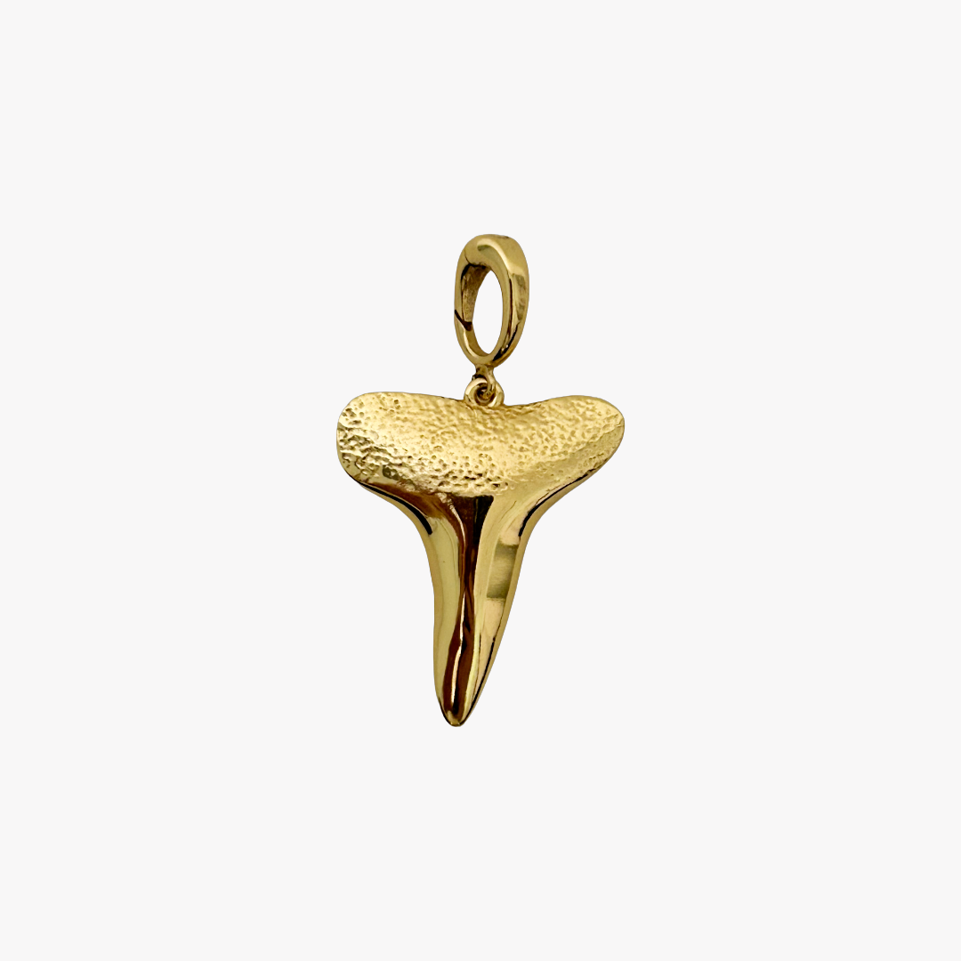 Shark Tooth Charm- Medium | 18k Gold Plated Charm| Clover & Palm ...